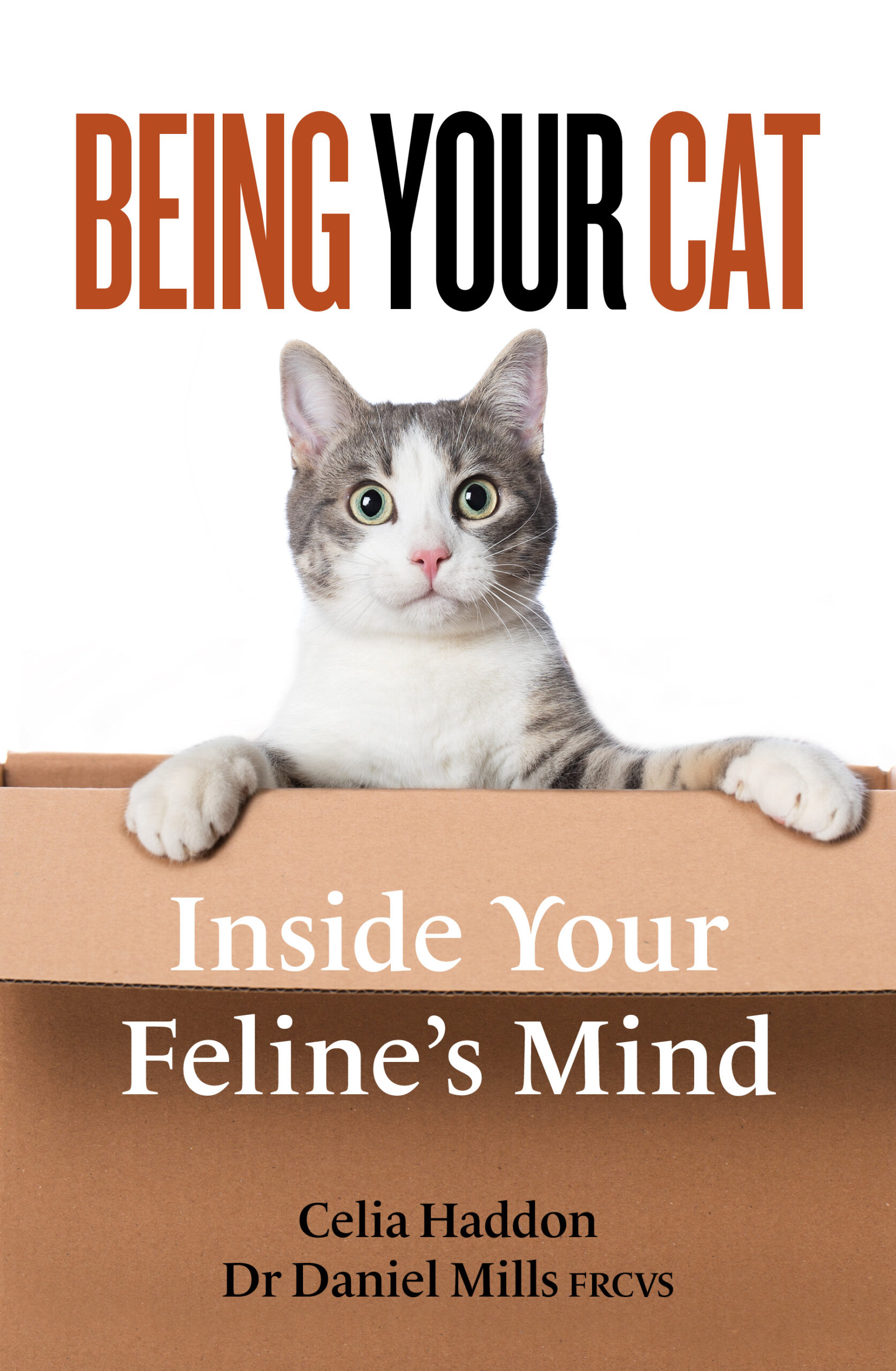 Celia Haddon – cat behaviour explained